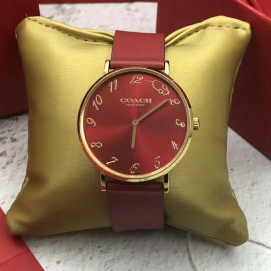 Coach Perry Limited edition, Luxury, Watches on Carousell