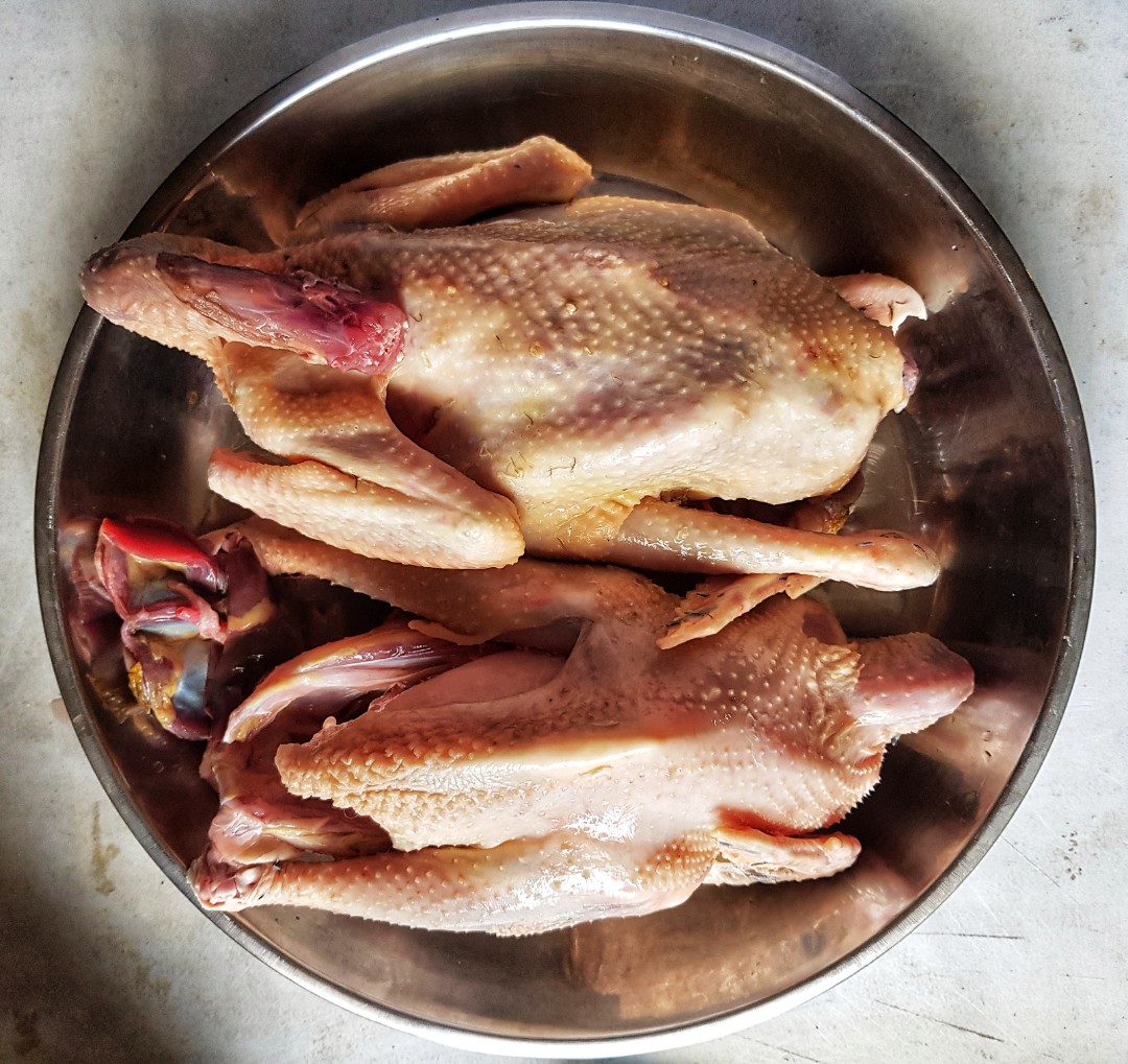 FRESH NATIVE CHICKEN, Food & Drinks, Fresh Produce on Carousell