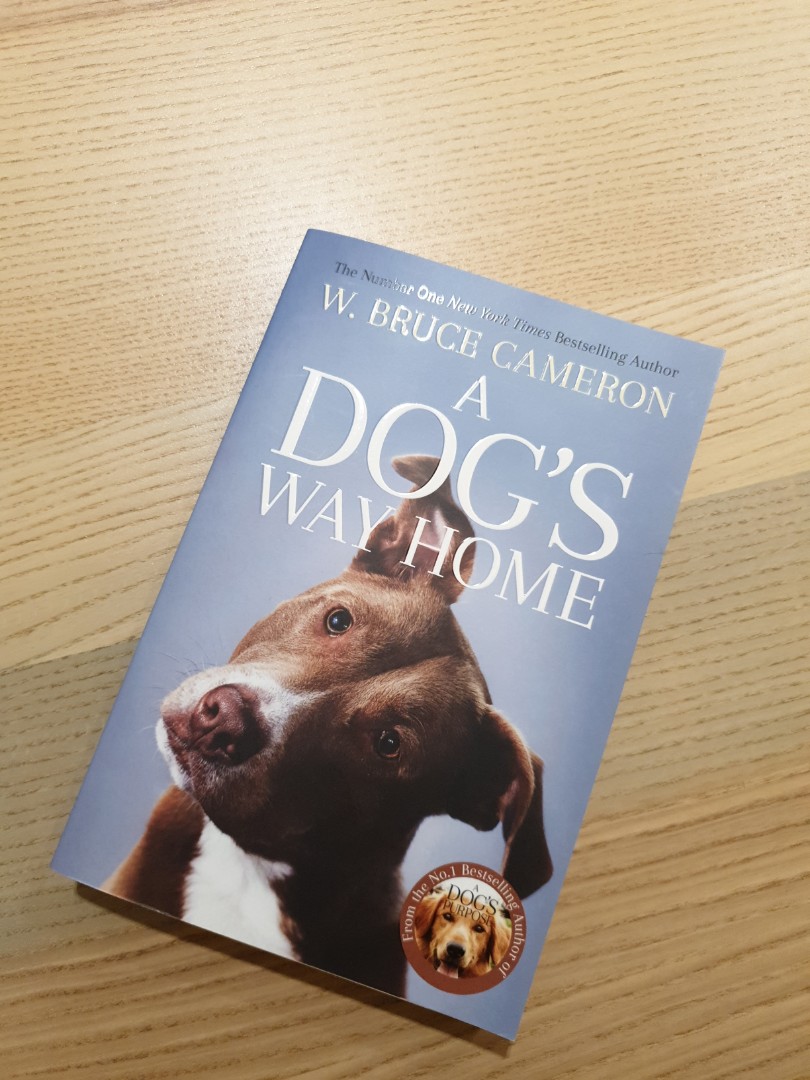 International Bestseller! A Dog's Way Home, Books & Stationery, Fiction ...