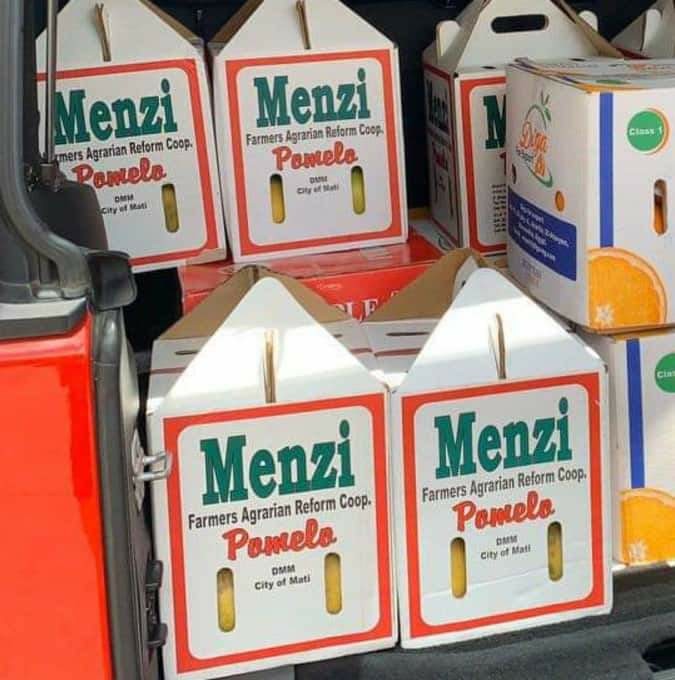 Menzi Davao Pomelo, Food & Drinks, Fresh Produce on Carousell