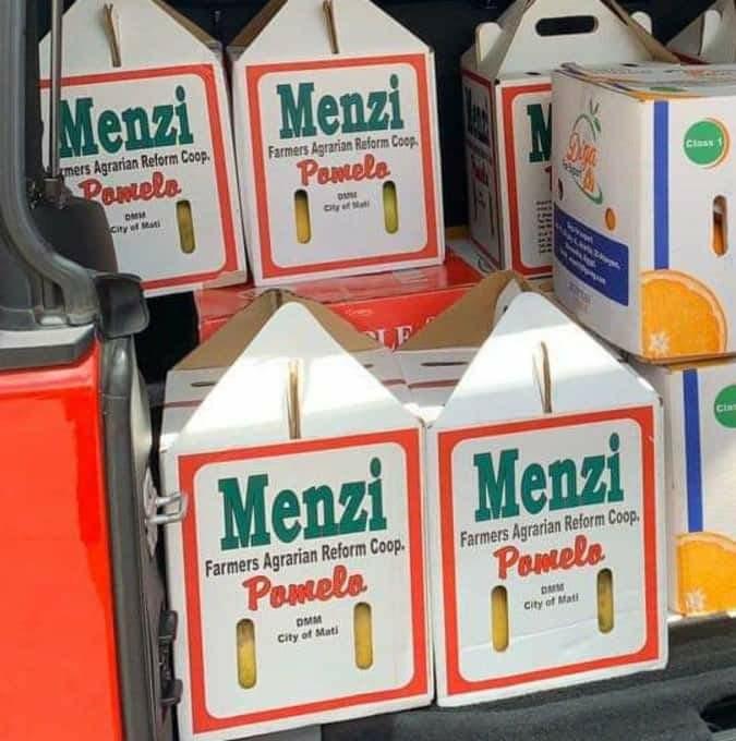 Menzi Davao Pomelo, Food & Drinks, Fresh Produce on Carousell