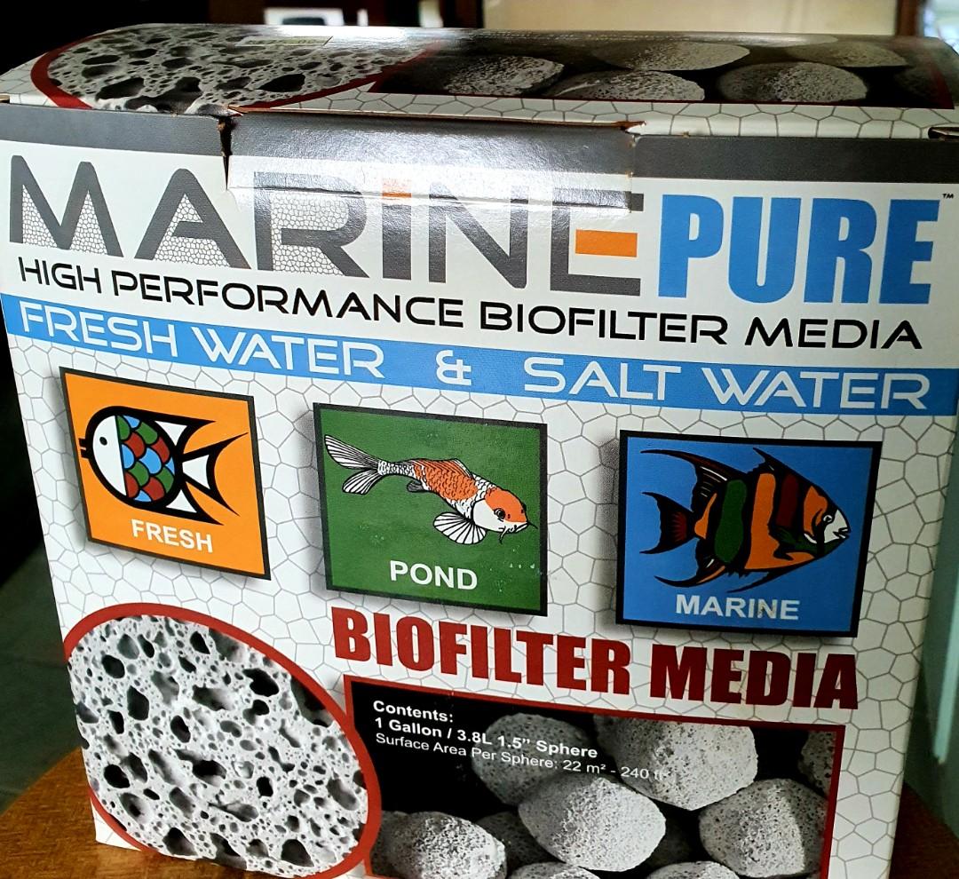 Marine pure spheres, Furniture & Home Living, Gardening, Plants & Seeds ...