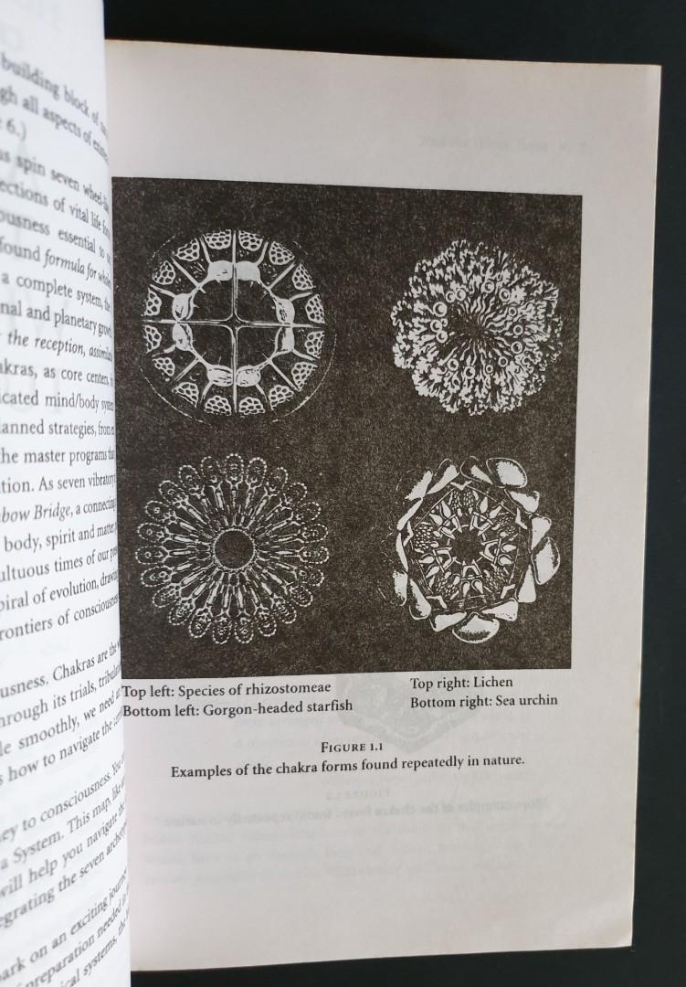 Chakras: Wheels Of Life By Anodea Judith, Ph. D., Hobbies & Toys, Books ...
