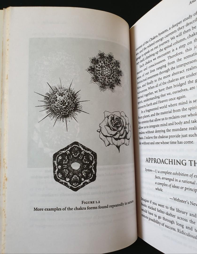 Chakras: Wheels Of Life By Anodea Judith, Ph. D., Hobbies & Toys, Books ...