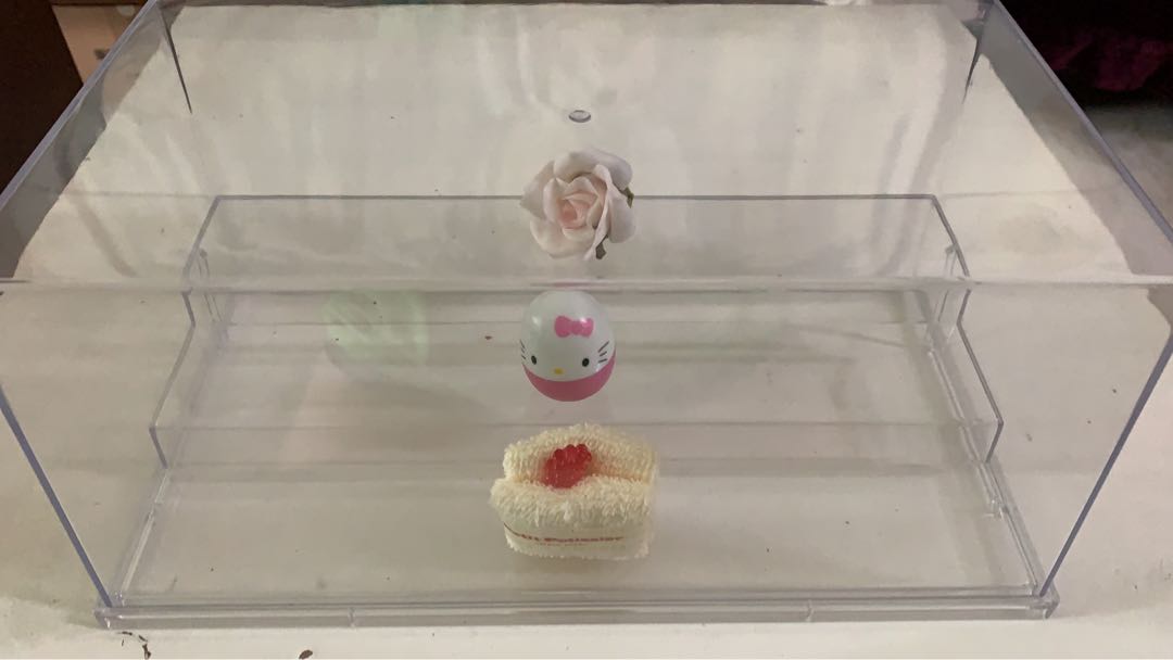 Rare Clear Collection Box for Displaying Miniature Figurines ...