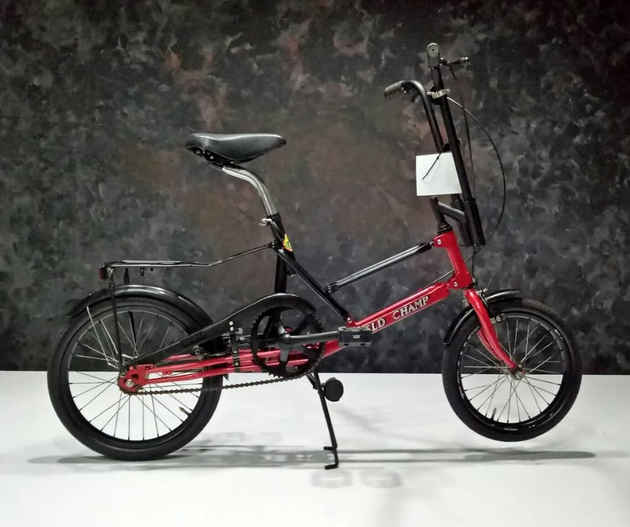 F06-Field Champ Folding Bike (Recon), Sports Equipment, Bicycles ...