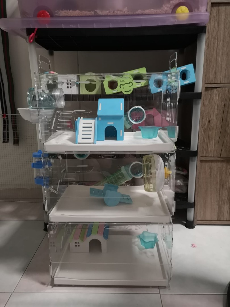 Hamster 3 tier acrylic cage with drawer, Pet Supplies, Homes & Other ...