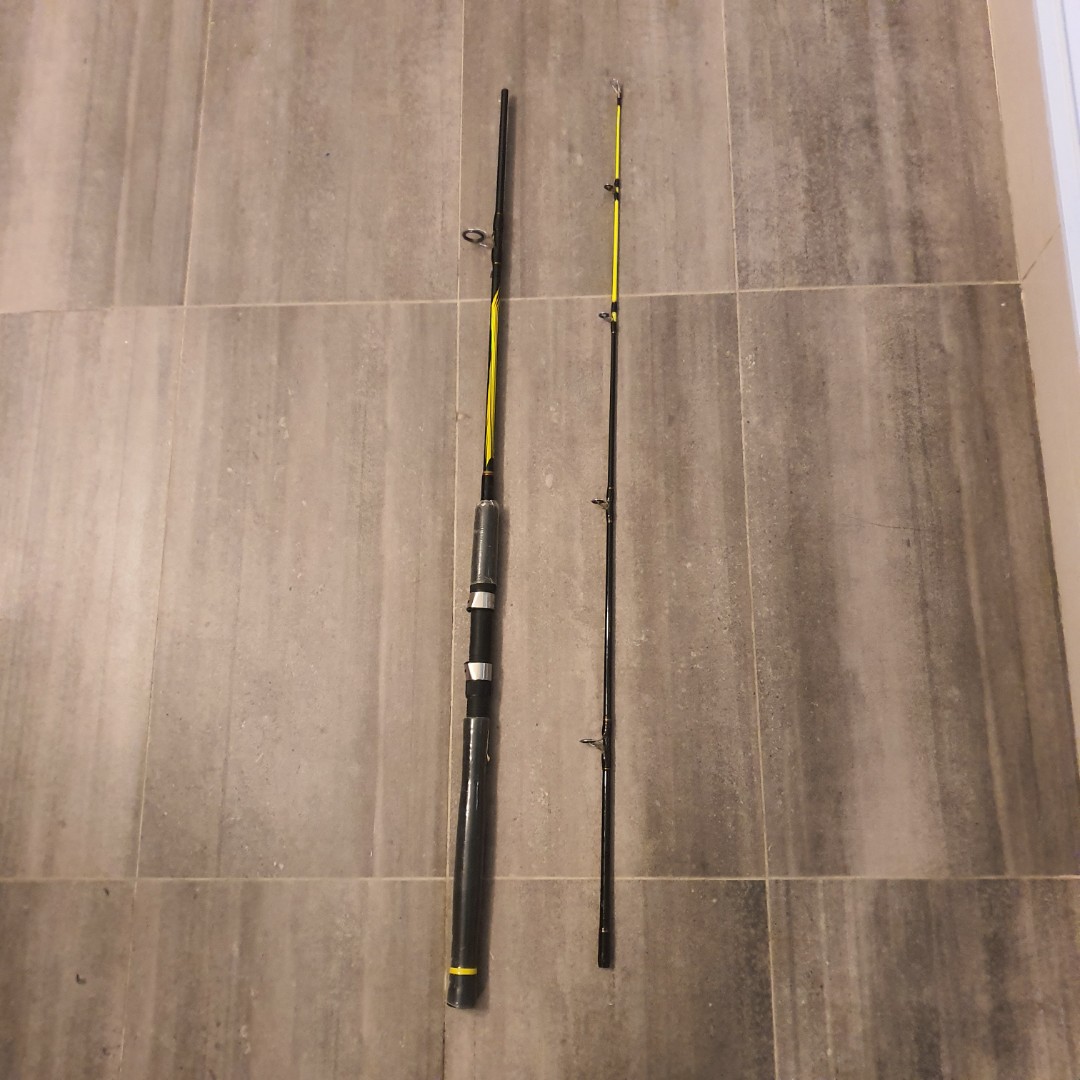 Pioneer fire rod, Sports Equipment, Fishing on Carousell