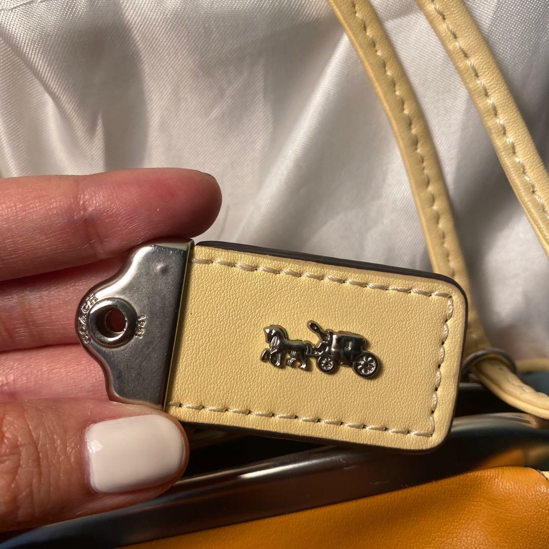 Coach Rexy Dinosaurus Limited Edition Ori, Barang Mewah, Tas & Dompet ...