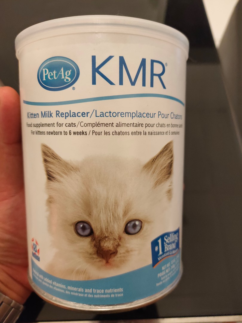 Kmr kitten milk, Pet Supplies, For Cats, Cat Food on Carousell