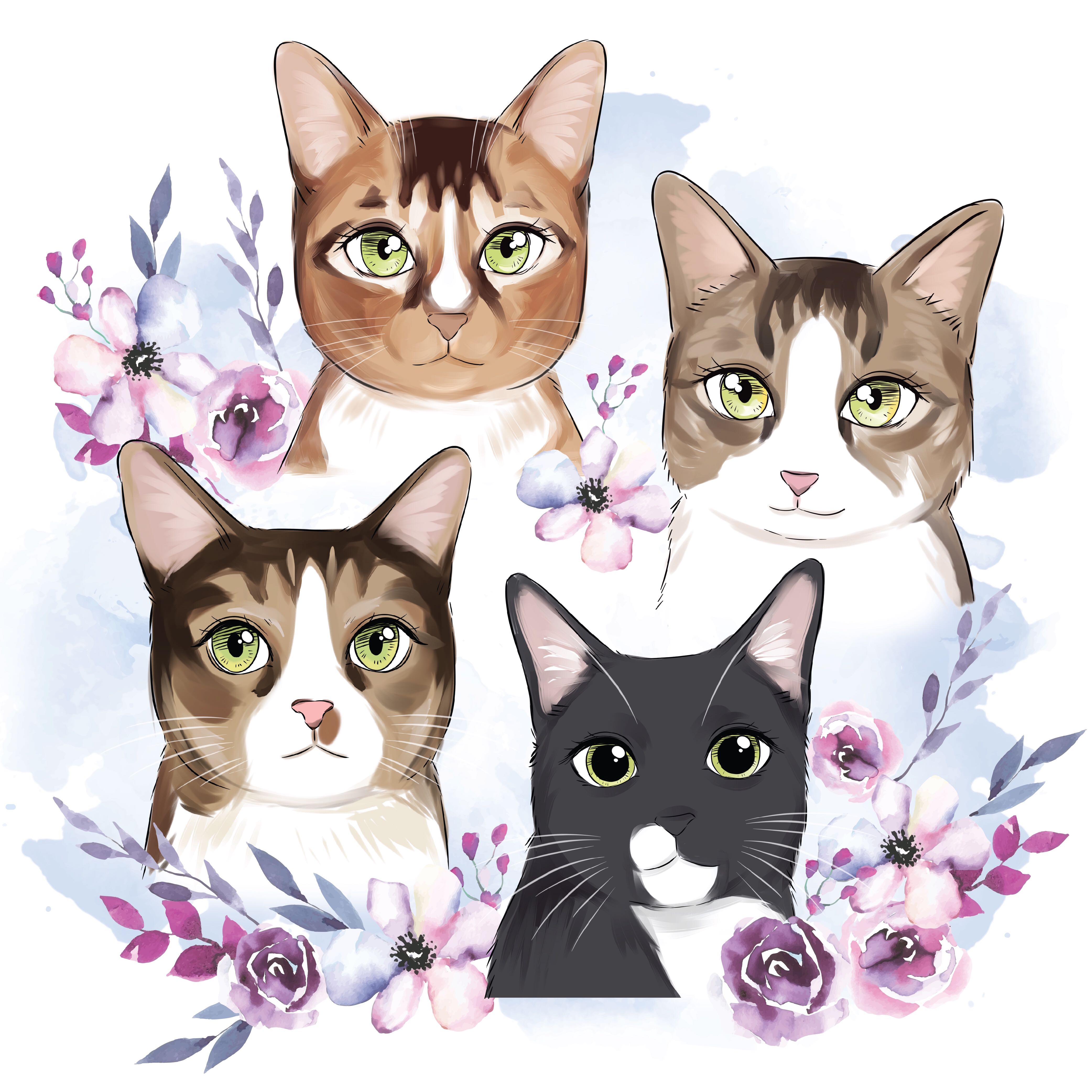 Pets Drawing ️ Cartoonist, Hobbies & Toys, Stationery & Craft ...