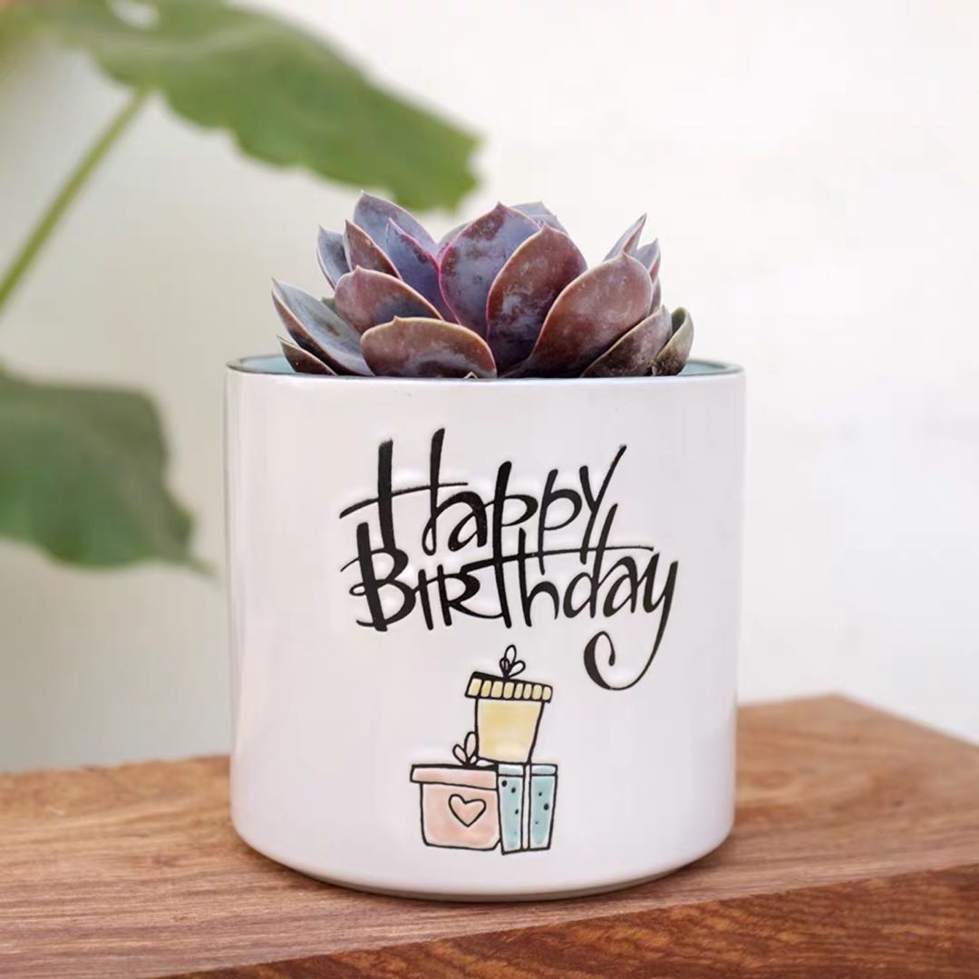 Sale! Limited edition birthday planter, Furniture & Home Living ...