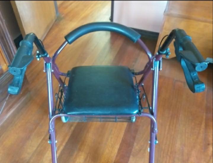 Walker/Adult Stroller, Health & Nutrition, Assistive & Rehabilatory ...