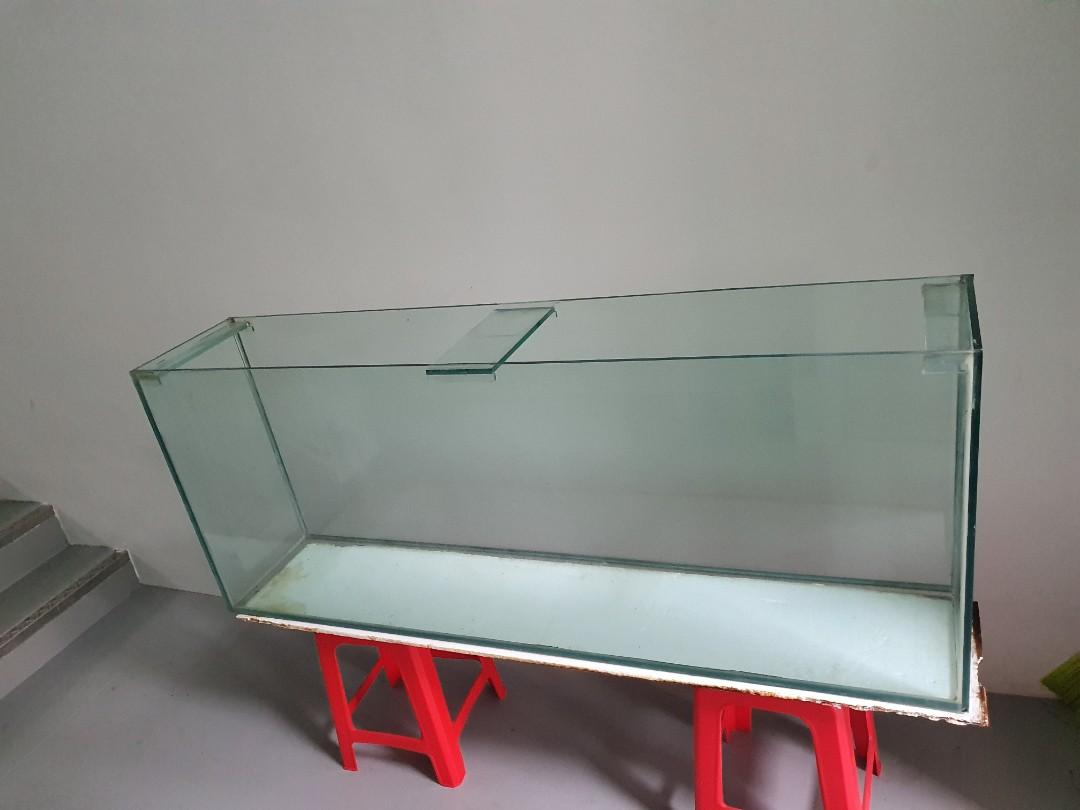 5ft tank, Pet Supplies, Homes & Other Pet Accessories on Carousell