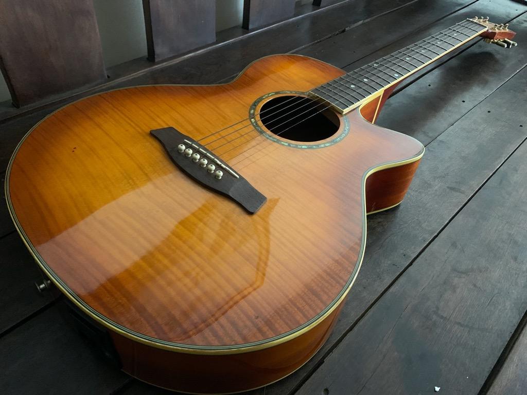 Ibanez AEG20E Flamed Sycamore Top Acoustic-Electric Guitar with Ibanez ...