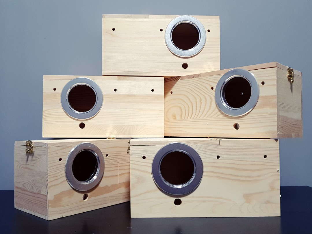 Large Breeding / Nest Box, Pet Supplies, Homes & Other Pet Accessories ...