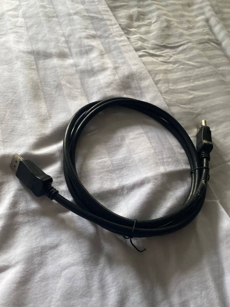 BizLink DisplayPort MALE to DisplayPort MALE 6 Foot Cable (6ft DP TO DP ...