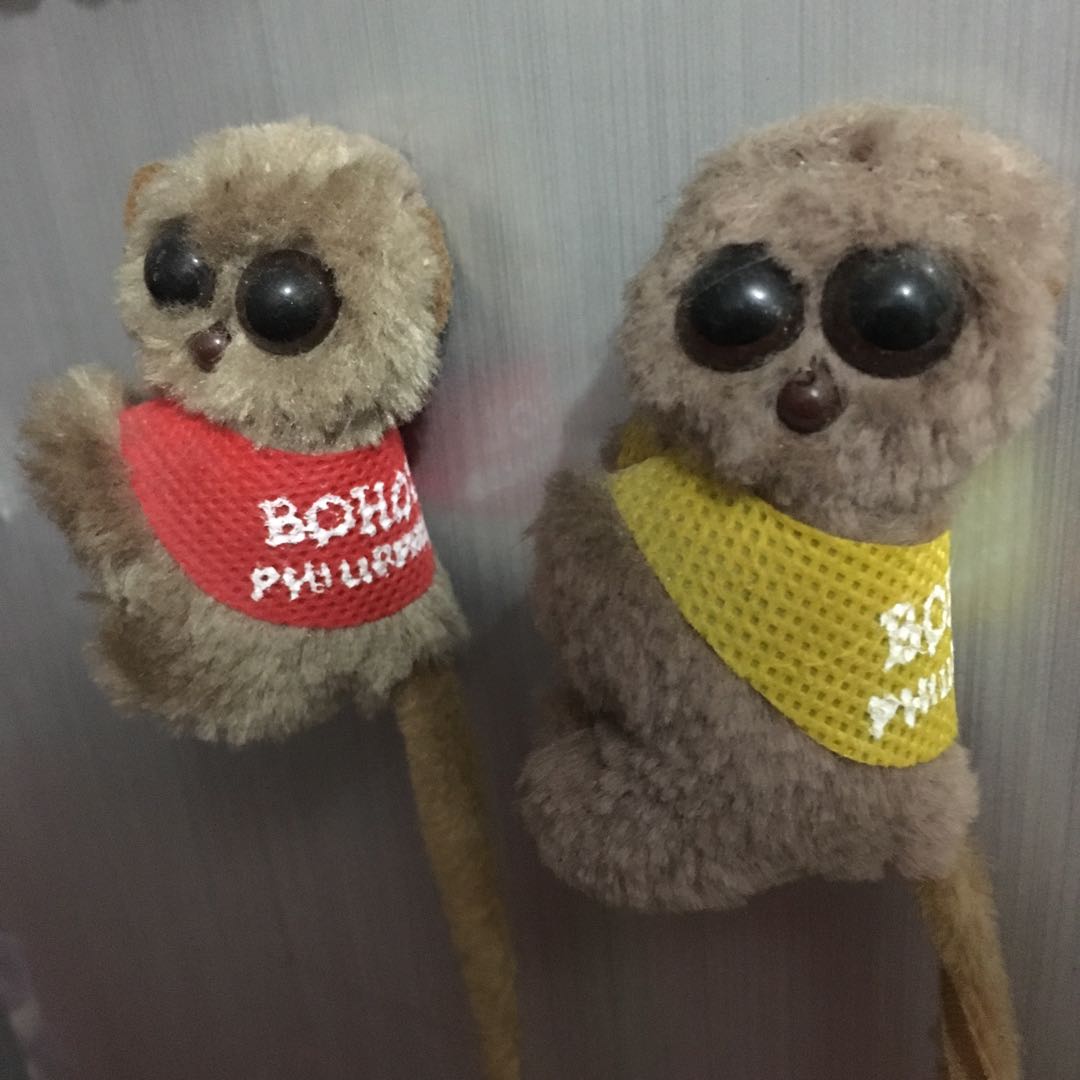 Cute Tarsier Bohol Philippines Ref Magnet, Hobbies & Toys, Stationary ...