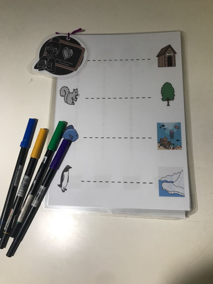 Laminated Tracing Lines Worksheet, Hobbies & Toys, Toys & Games on ...