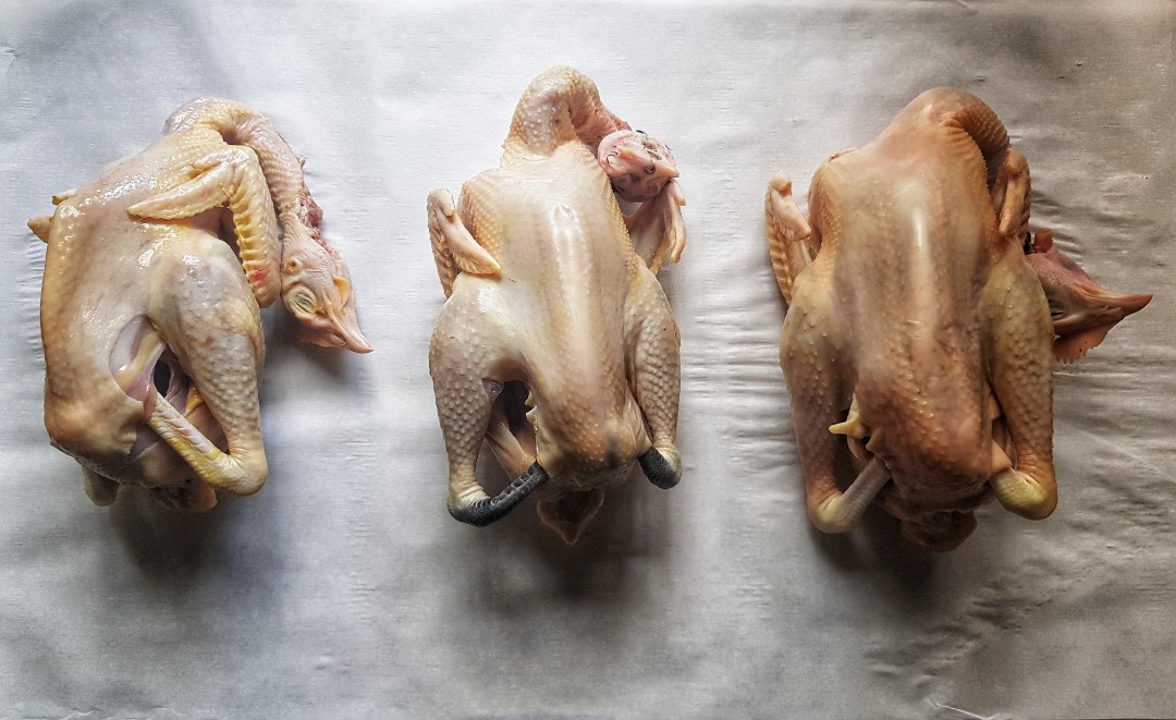 NATIVE CHICKEN, Food & Drinks, Fresh Produce on Carousell