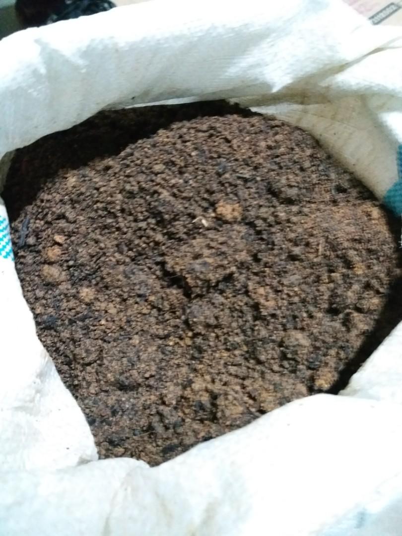 10kg top soil, Furniture & Home Living, Gardening, Garden Soil ...
