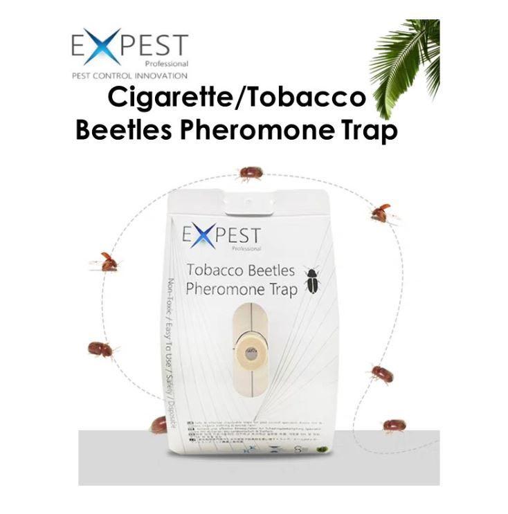 cigarette beetle trap