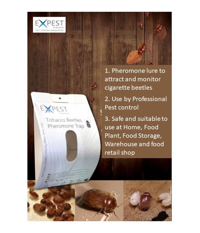 cigarette beetle trap