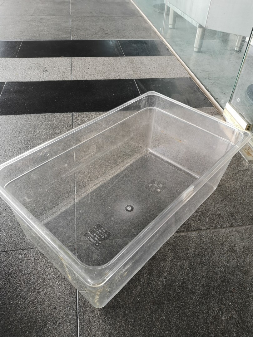 Plastic GN full size container, Furniture & Home Living, Kitchenware ...