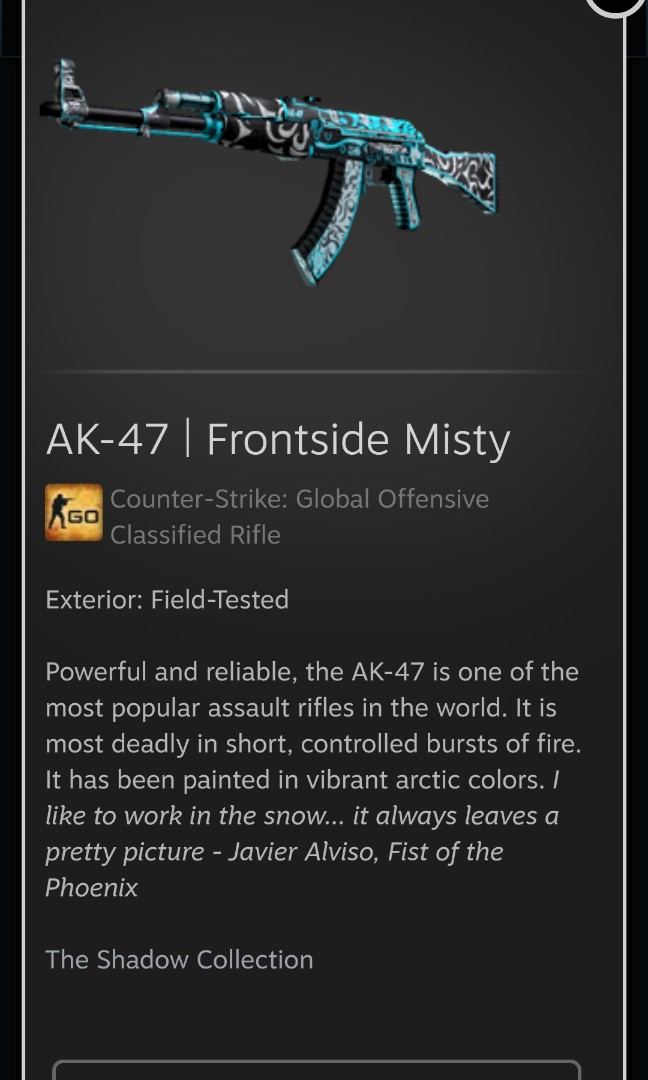 CSGO SKIN| AK-47 | Frontside Misty, Video Gaming, Gaming Accessories ... CSGO SKIN| AK-47 | Frontside Misty, Video Gaming, Gaming Accessories ...