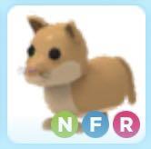 Neon Fly Ride Dingo - Adopt Me, Video Gaming, Gaming Accessories, Game ...