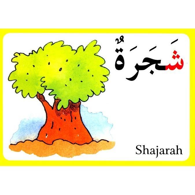 Arabic Alphabet Flash Cards (FLASHCARDS) (Childrens games) (Kids games ...