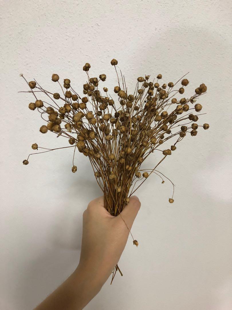 100g flax spray millet spray oat spray piston millet spray for hamsters ...