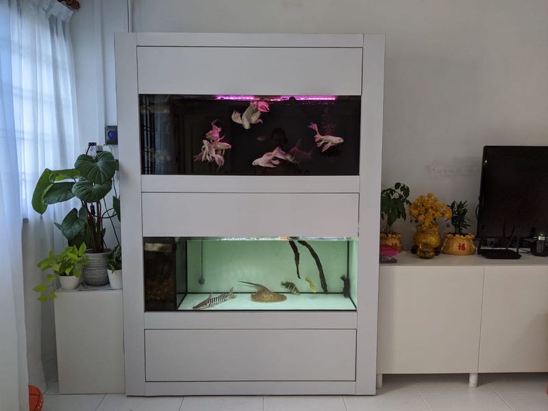 4*1.5*1.5 ft iOS N30 tanks, Pet Supplies, Homes & Other Pet Accessories ...