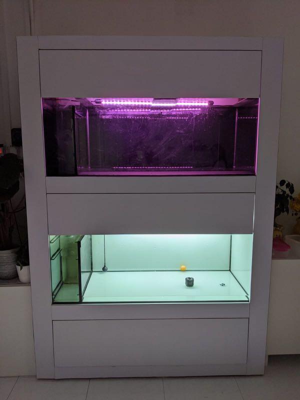 4*1.5*1.5 ft iOS N30 tanks, Pet Supplies, Homes & Other Pet Accessories ...