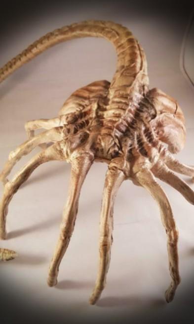 異形: 聖約抱臉體雕像 figure Alien Covenant Facehugger Replica, 興趣及遊戲, 玩具 & 遊戲類 ...