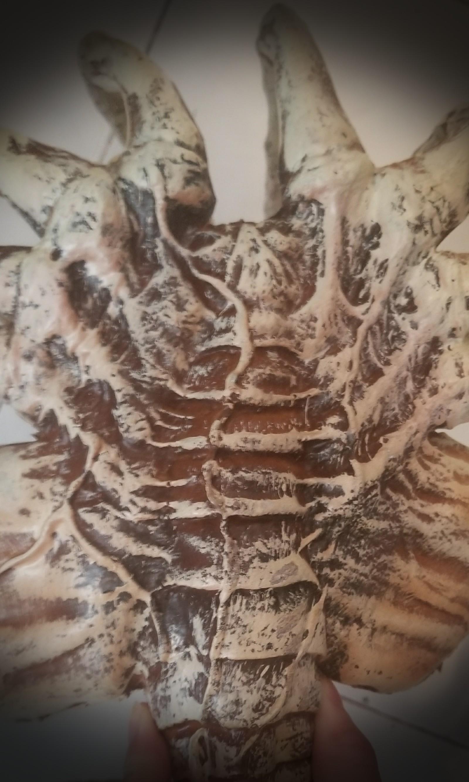 異形: 聖約抱臉體雕像 figure Alien Covenant Facehugger Replica, 興趣及遊戲, 玩具 & 遊戲類 ...