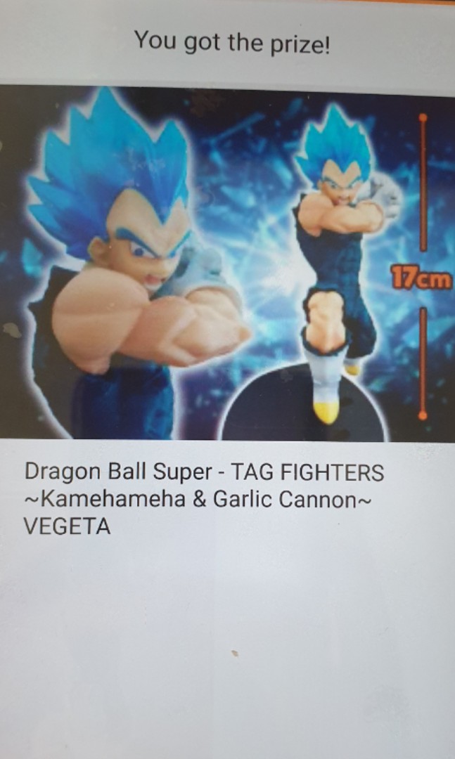 Dragon ball Super Tag Fighters - Kamehameha & Garlic Cannon Vegeta ...