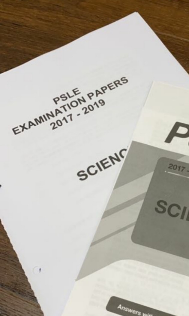 PSLE Science Paper 2017-2019, Hobbies & Toys, Books & Magazines ...