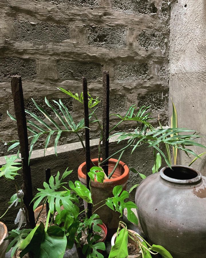 Antique Banga #2, Hobbies & Toys, Memorabilia & Collectibles, Vintage ...