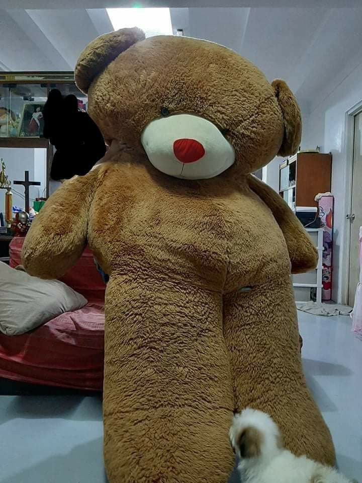 Giant teddy bear blue magic original., Hobbies & Toys, Toys & Games on ...