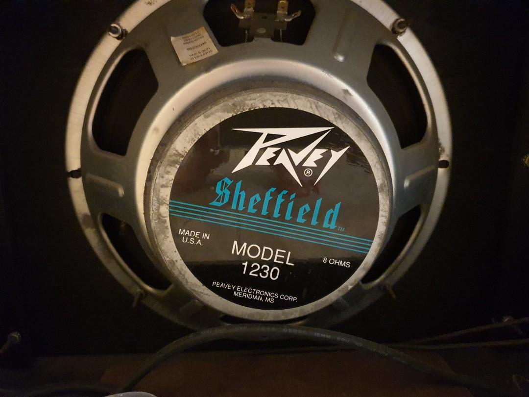 Peavey Express 112 USA Transtube Electric Guitar Amplifier Sheffield ...