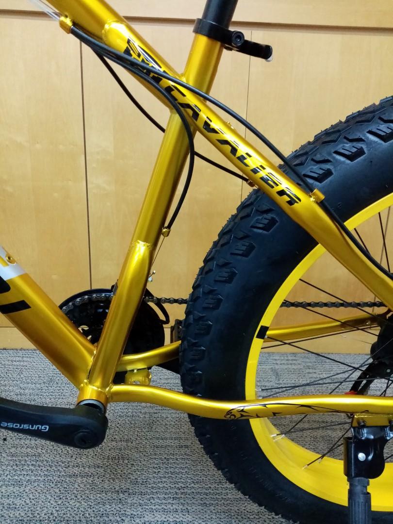 Fat Bike Beinaiqi Cavalier), Sports Equipment, Bicycles & Parts ...