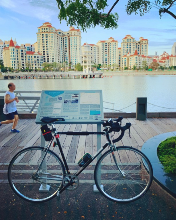 Pinarello Catena, Single speed, Fixie Bike, Sports Equipment, Bicycles ...