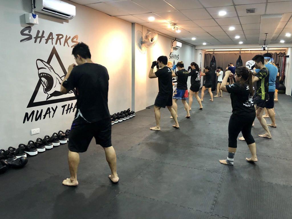 Sharks Muay Thai’s Gym Membership, Services, Others on Carousell