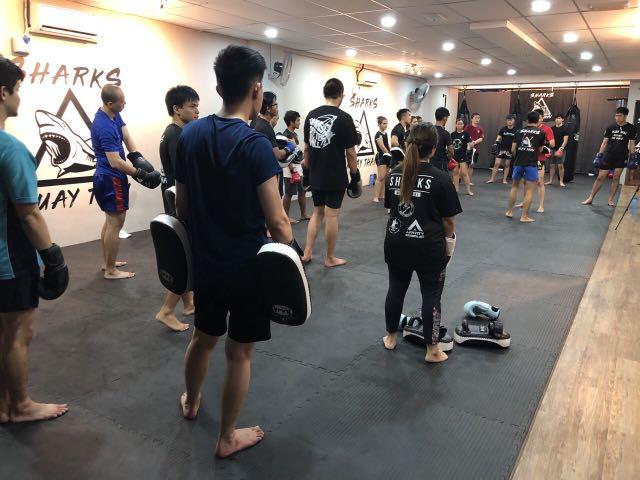 Sharks Muay Thai’s Gym Membership, Services, Others on Carousell