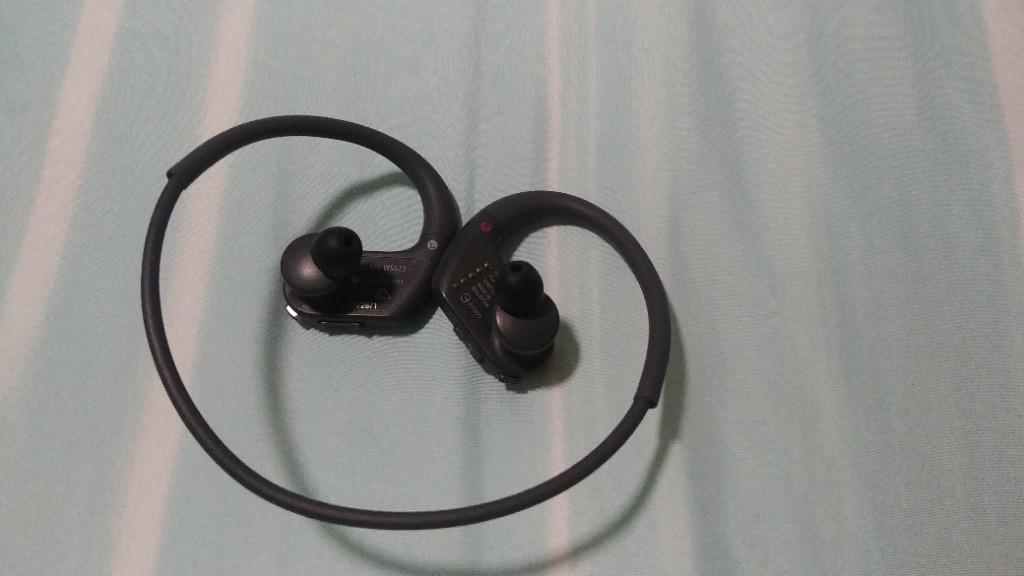 Sony NW-WS623 Waterproof Sports Headphone w 4GB Memory and Bluetooth ...