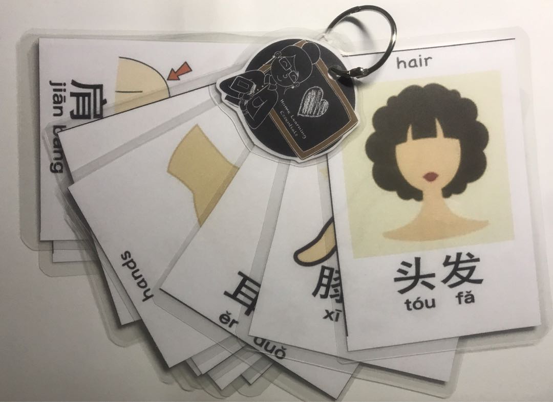 Chinese Flashcard Body Parts, Hobbies & Toys, Toys & Games on Carousell