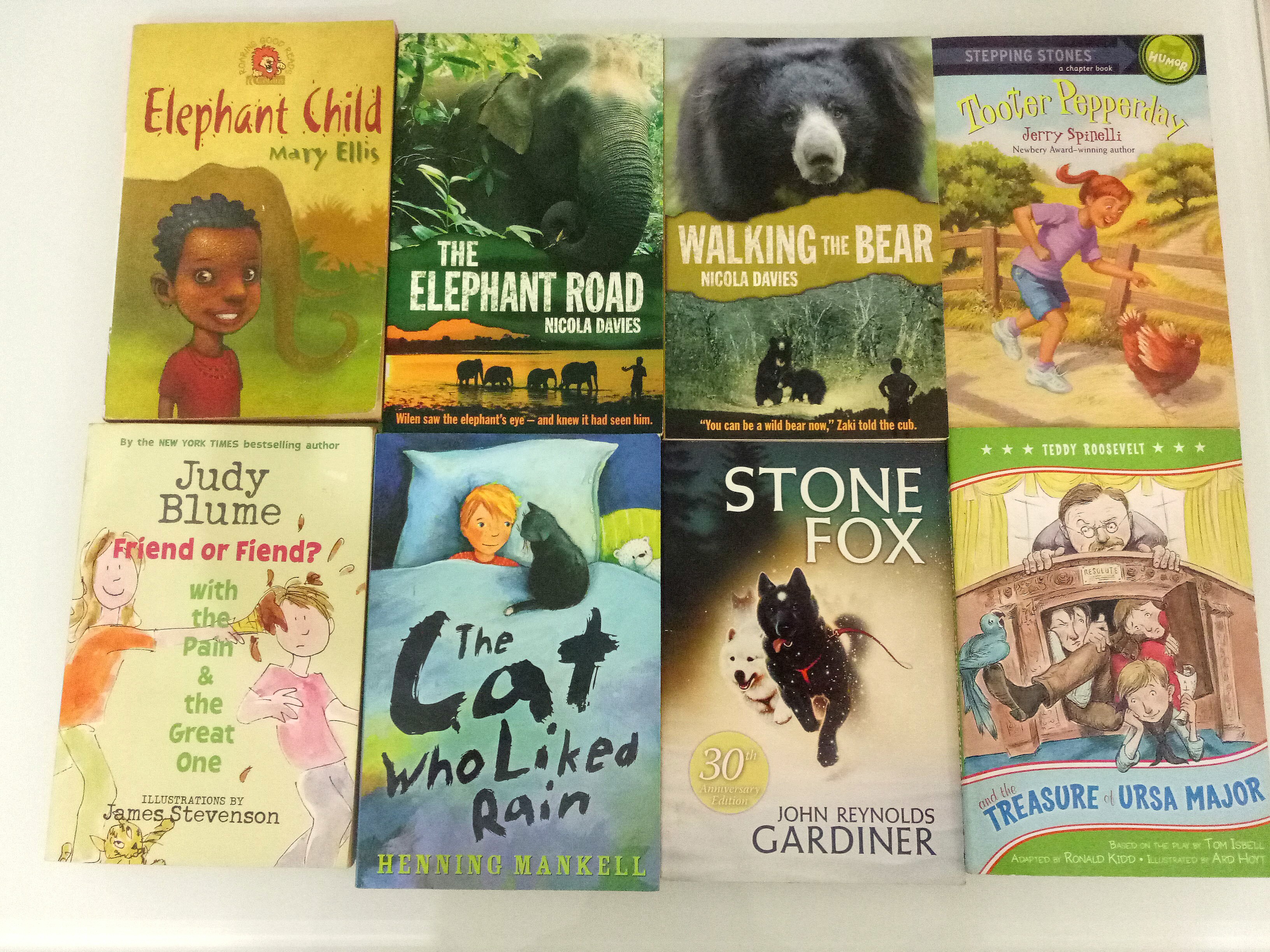 Lower primary story books, Books & Stationery, Fiction on Carousell