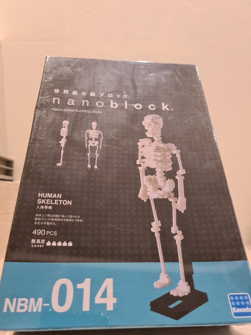 nanoblock (Human Skeleton), Hobbies & Toys, Toys & Games on Carousell
