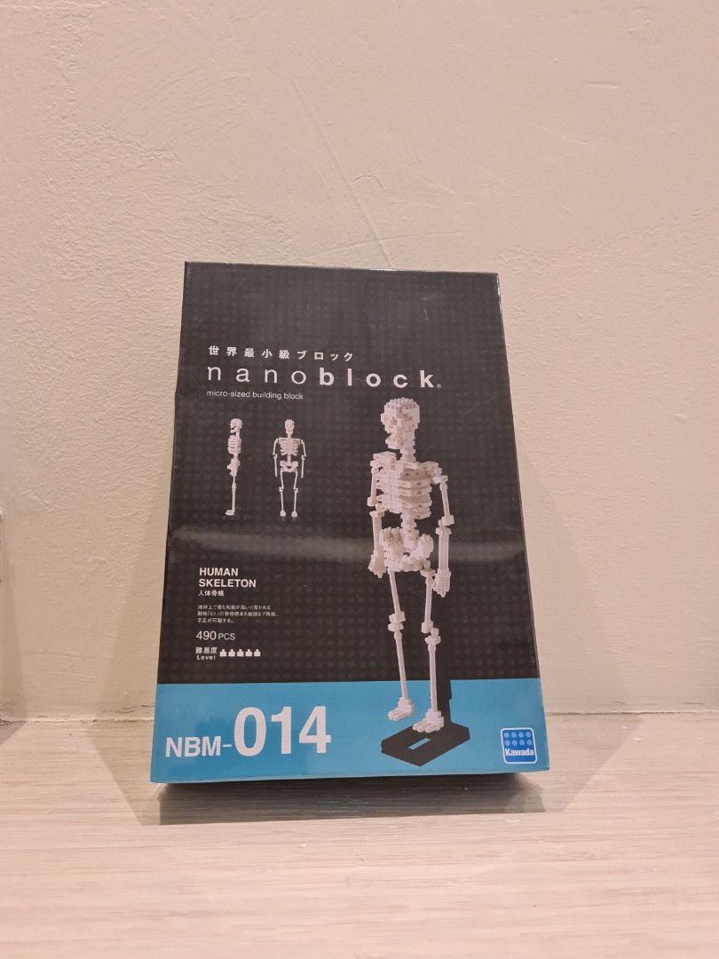 nanoblock (Human Skeleton), Hobbies & Toys, Toys & Games on Carousell